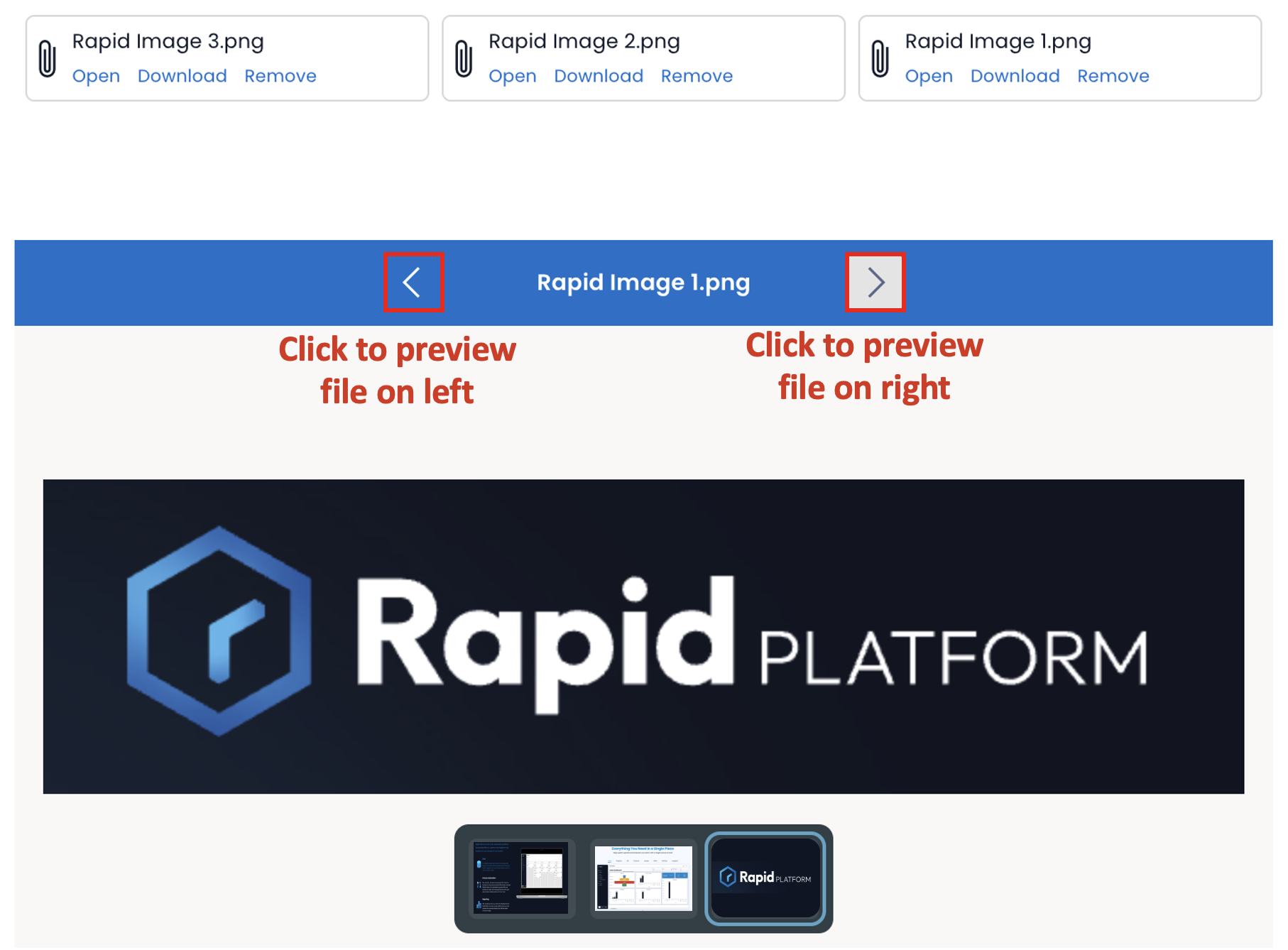 File Preview | Rapid Platform Docs