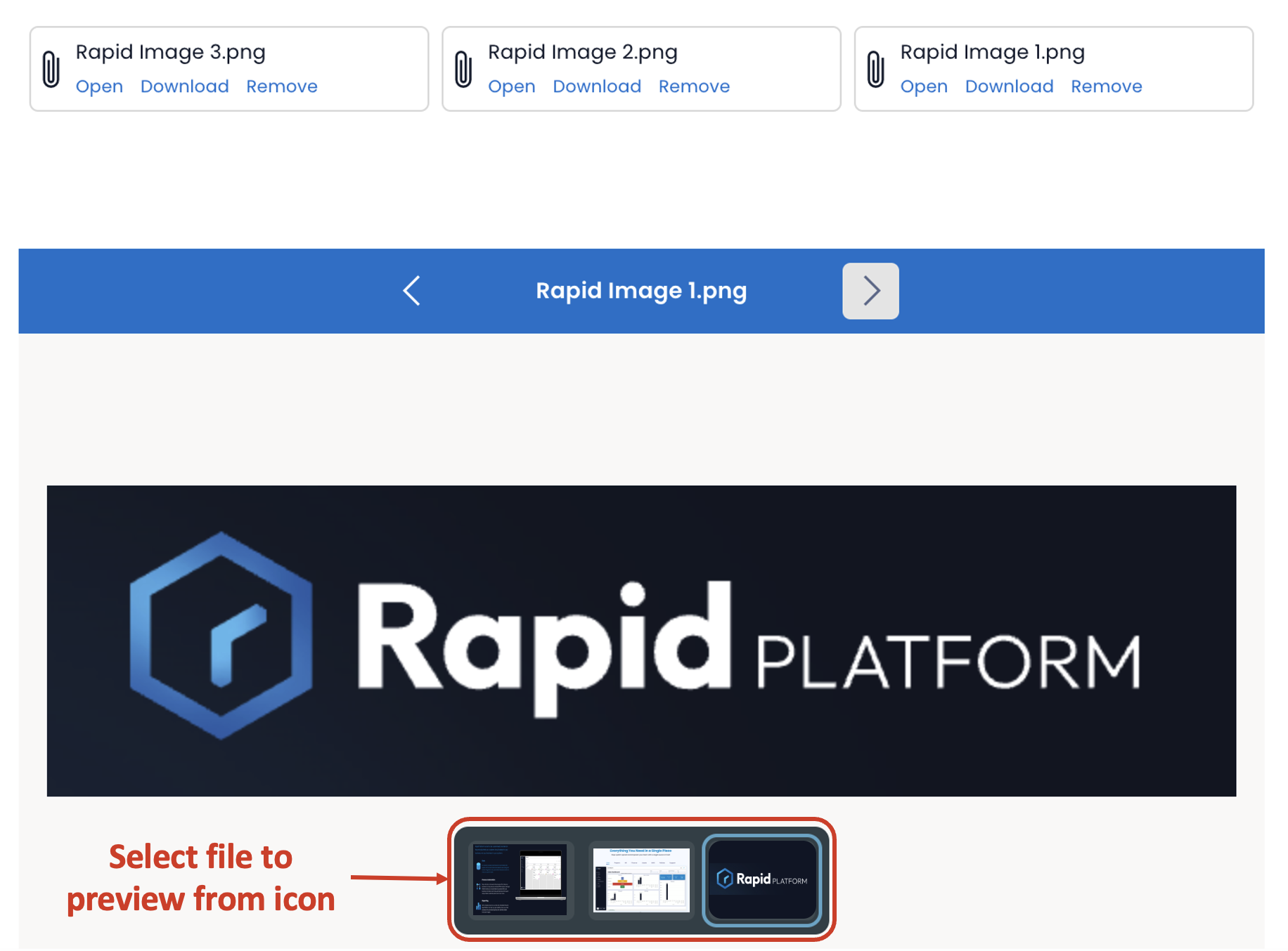 File Preview | Rapid Platform Docs